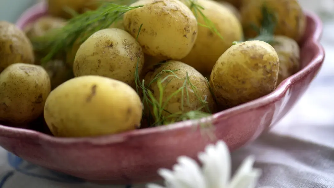 Glädjebeskedet: Färskpotatisen räcker till alla på midsommar | Sveriges ...