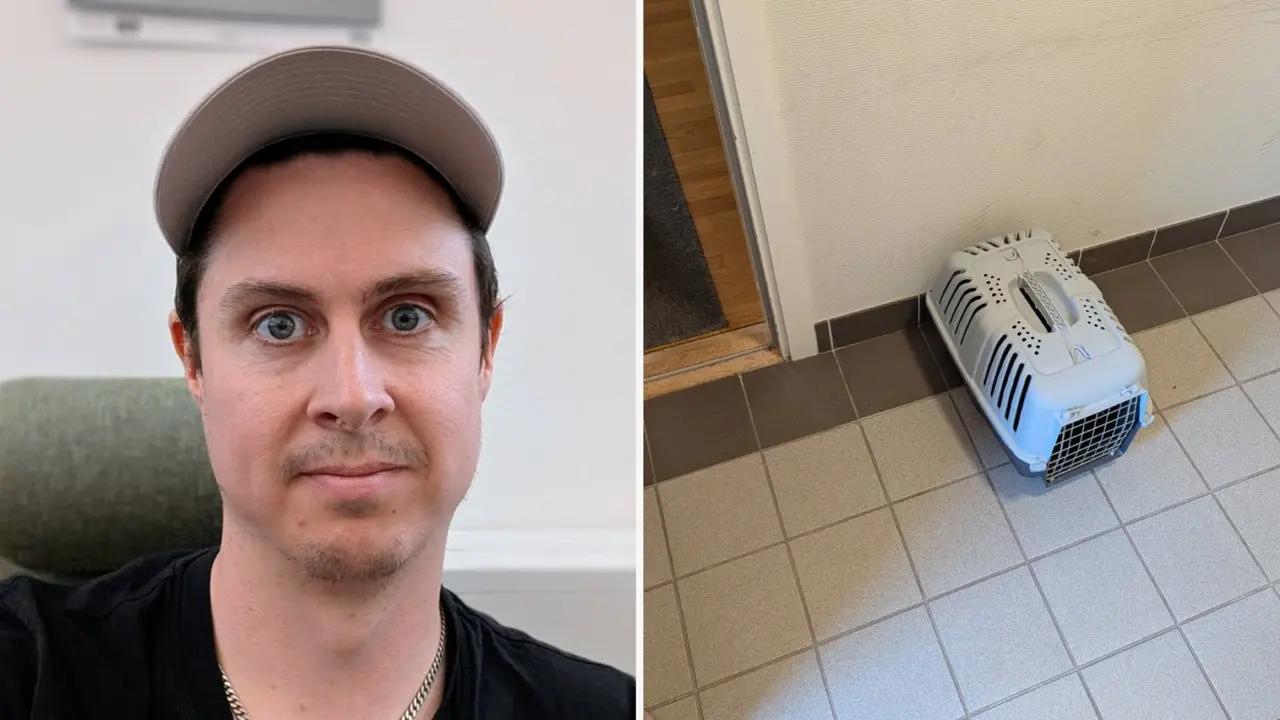 Okänd katt i bur utanför Alexanders lägenhet i Norrtälje | Sveriges Radio