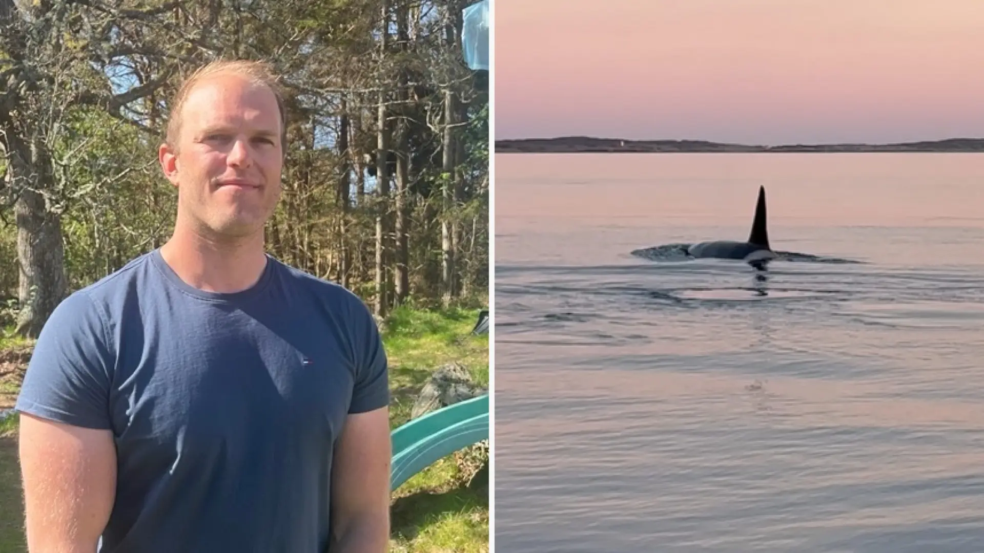 Linus såg späckhuggare på Västkusten: De kom väldigt nära | Sveriges Radio