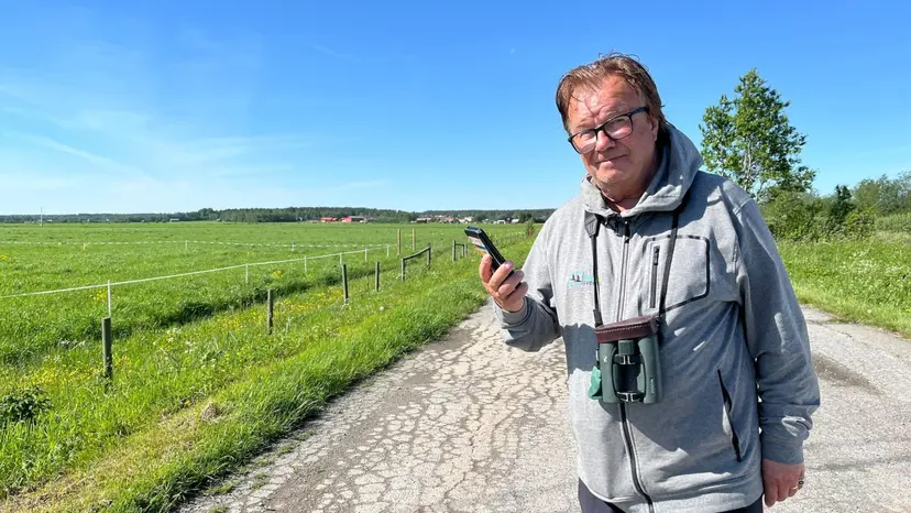 Fågelljudsappar gissar ofta fel – kan lura nybörjare | Sveriges Radio