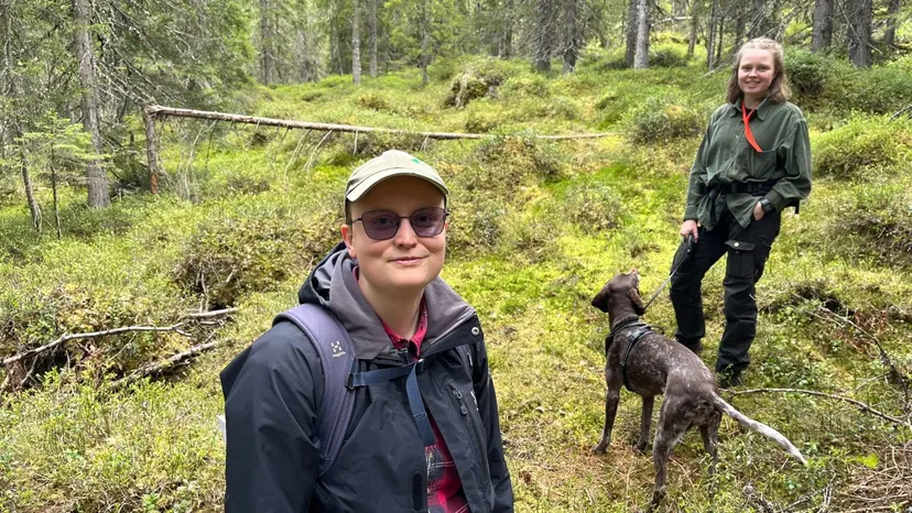 Letar skyddade arter för att rädda värdefull skog | Sveriges Radio
