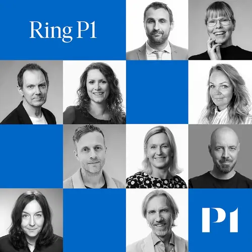 Straff som verktyg mot kriminalitet | Ring P1 reder ut | Ring P1 - 020 ...