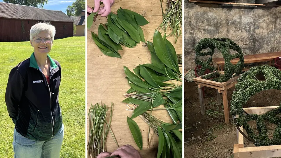 Eva klär klassiska stången i Brevens Bruk: ”Plockar blad varje dag ...