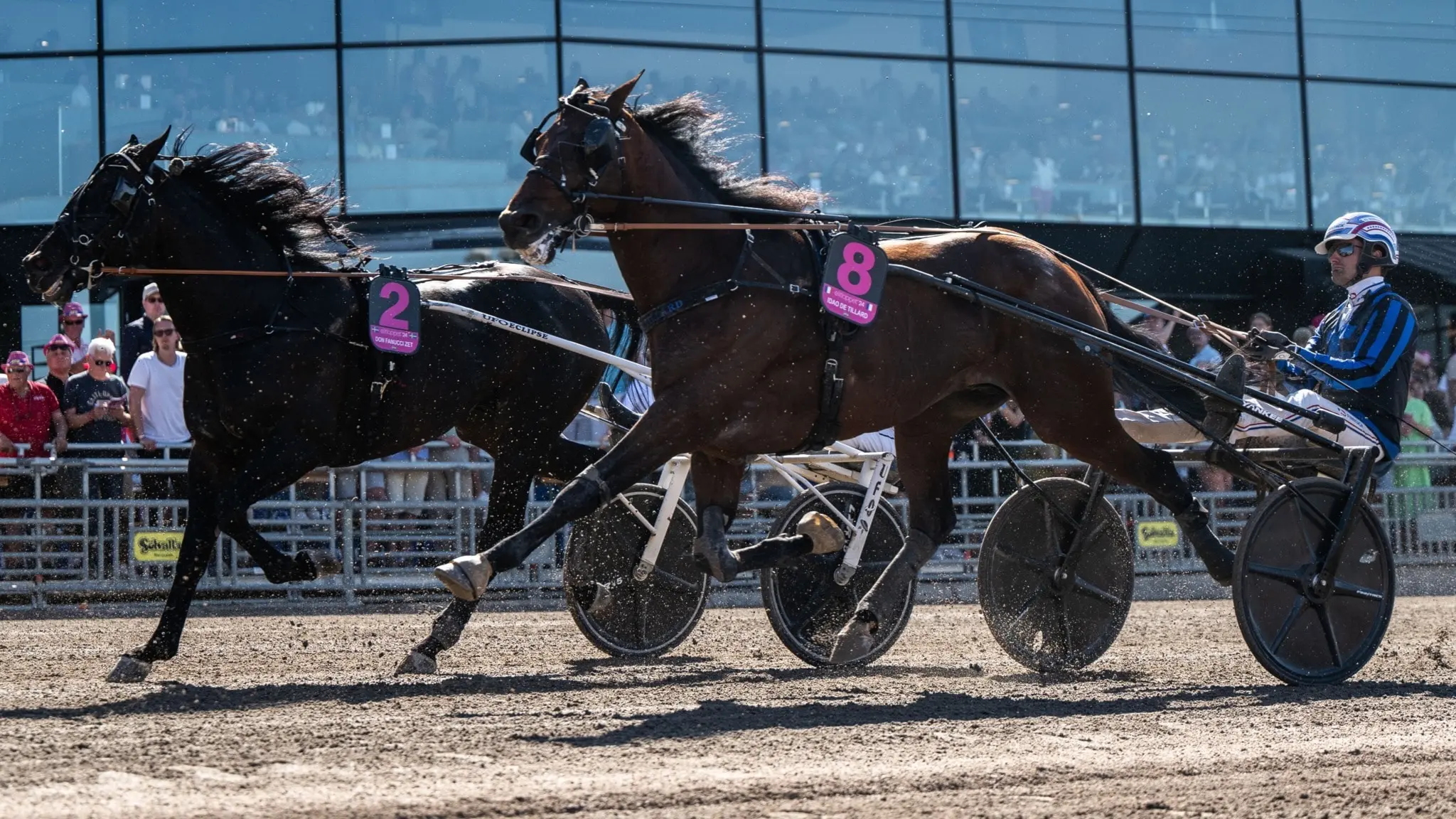 Experten inför Elitloppet: ”Topphästar på löpande band” | Sveriges Radio