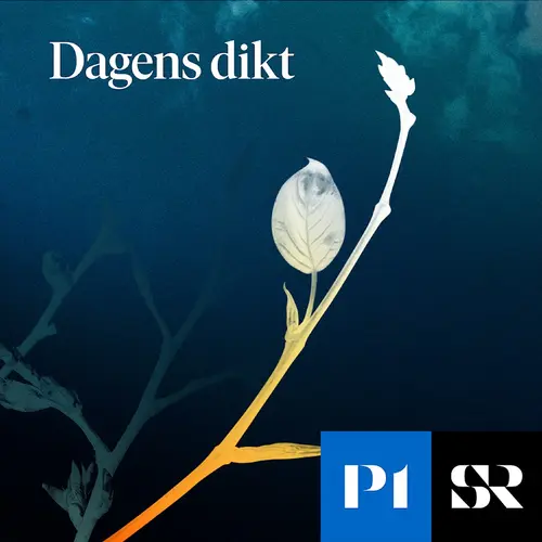 ”Återfödelse” av Lan Xu | Dagens dikt | Sveriges Radio