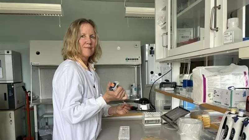 Swedish researchers studying tick-borne bacteria that might cause ...