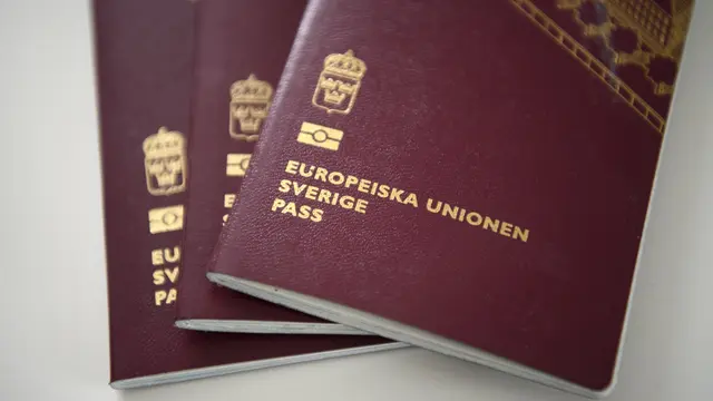 Sweden citizenship: Who is waiting in the Migration Agency's queue ...