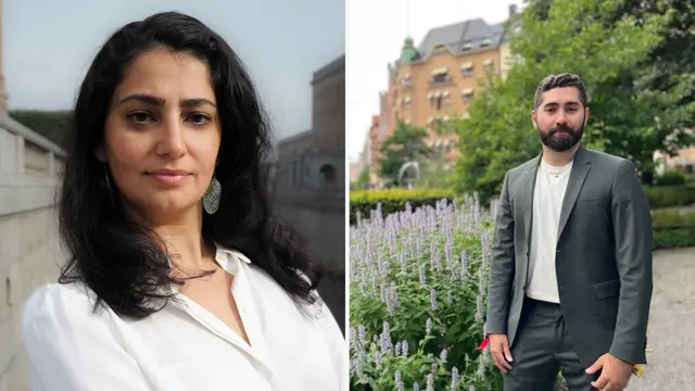 Swedish companies still backing DEI — despite US crackdowns | Sveriges ...